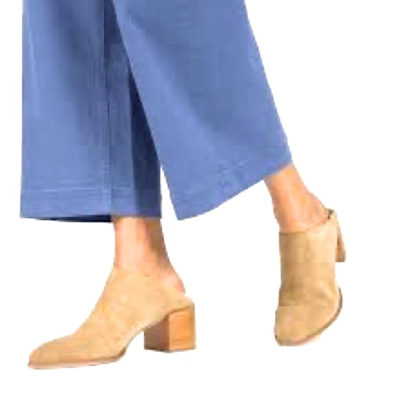 Everlane | Shoes | Everlane Suede Heel Mules Size 8 In Neutral Tan ...